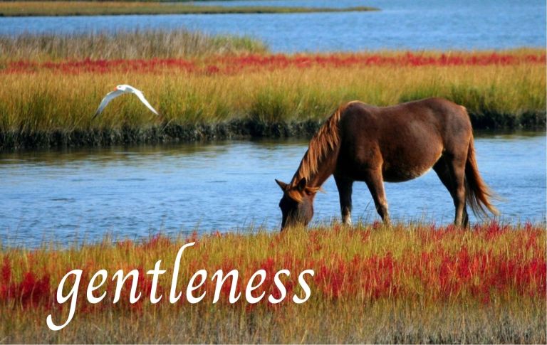 Gentleness – Koine Foundations